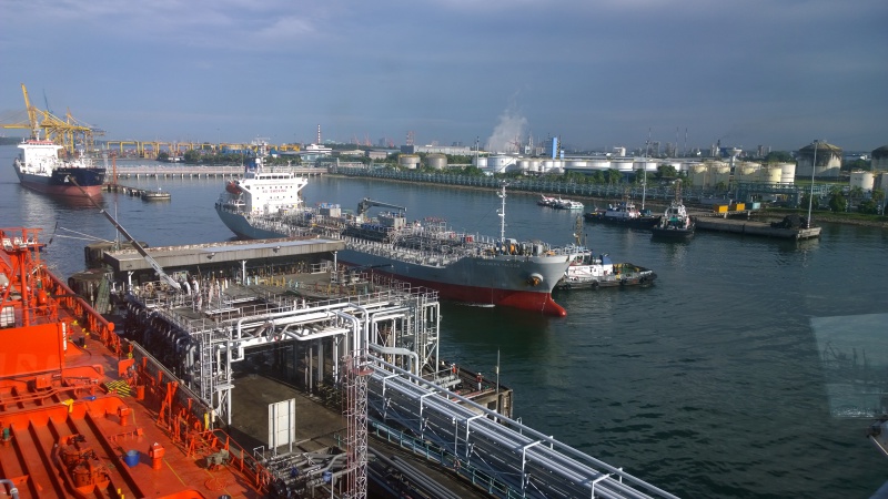 SOUTHERN FALCON - IMO: 9414993 | MMSI: 563021700 | Vesseldove