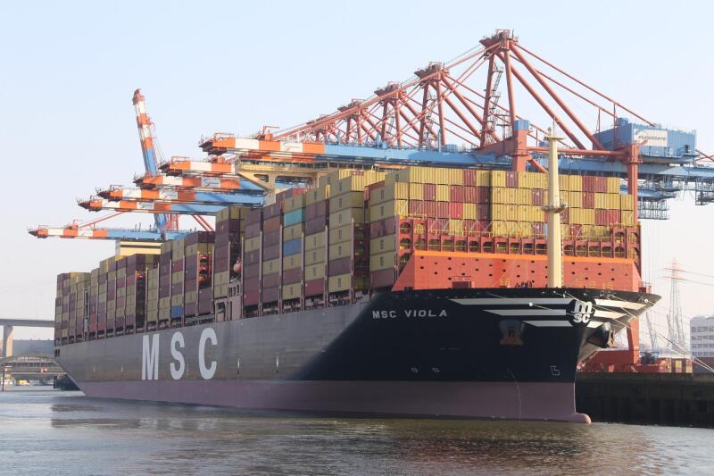 MSC VIOLA - IMO: 9947172 | MMSI: 636024513 | Vesseldove