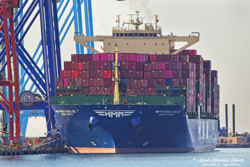 HMM FOREST - IMO: 9998470 | MMSI: 352005268 | Vesseldove
